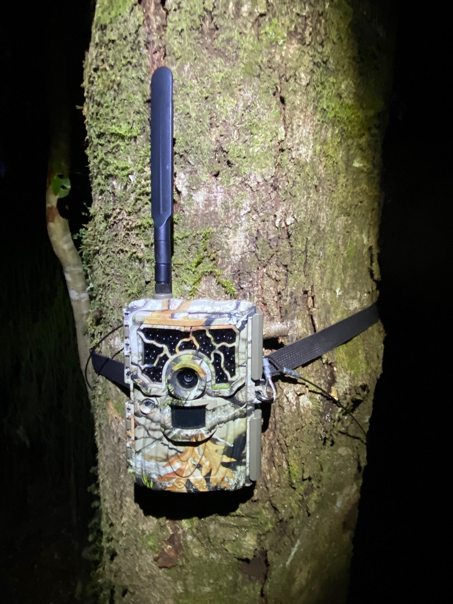 Game Camera Review | UOVision Select 30 4G LTE “CLOUD” – Hunters New ...