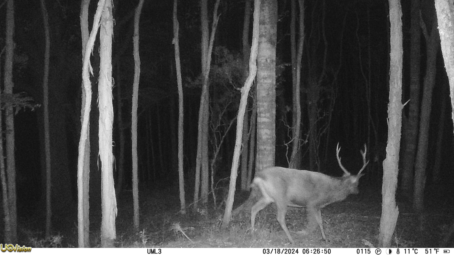 Game Camera Review | UOVision Select 30 4G LTE “CLOUD” – Hunters New ...