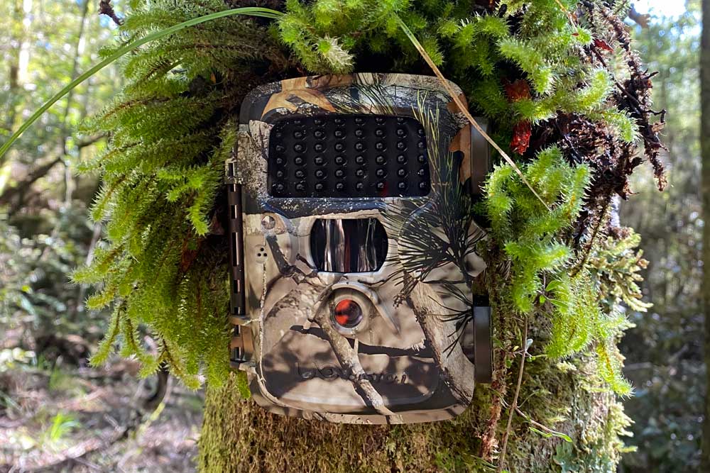 Hunting in New Zealand | Hunters New Zealand