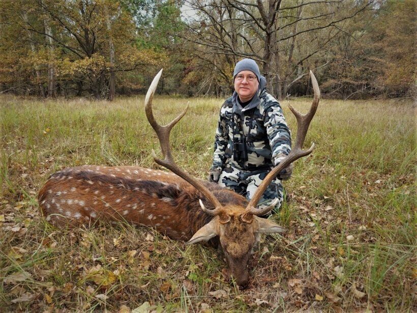Photos of Sika Hunting in Ukraine – Hunters New Zealand