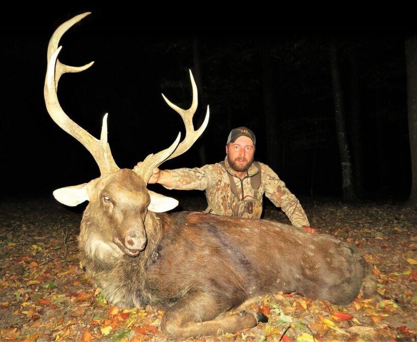 Photos of Sika Hunting in Ukraine – Hunters New Zealand